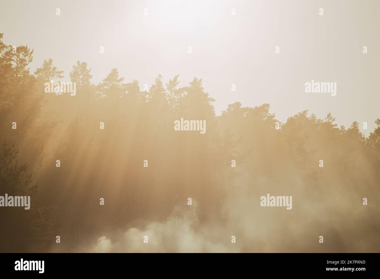 Beautiful Landscape Sun Rays Shine Through Trees Stock Photo Alamy