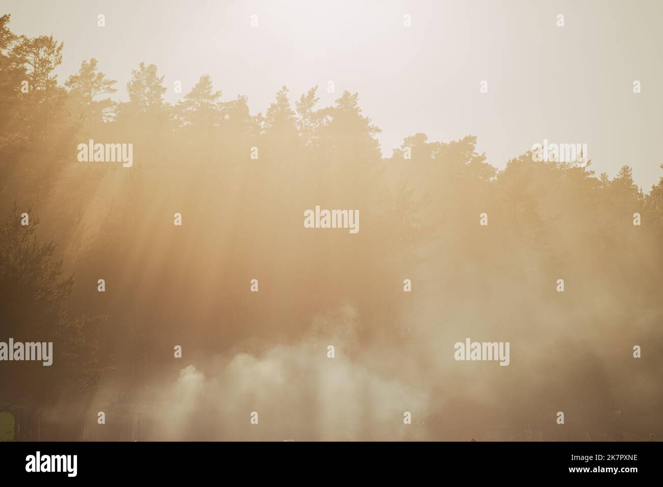beautiful landscape, sun rays shine through trees Stock Photo - Alamy