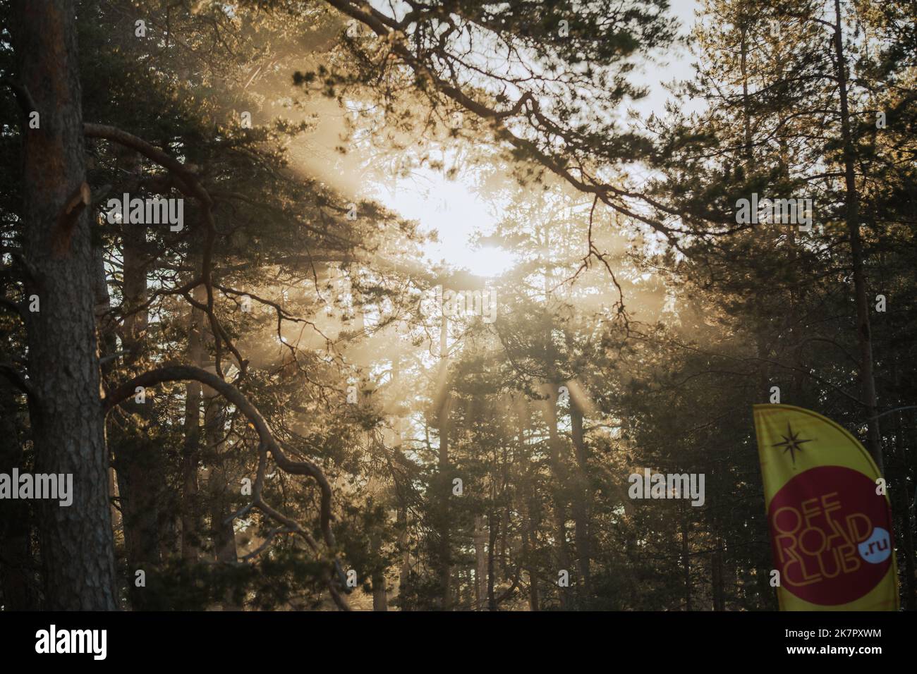 beautiful landscape, sun rays shine through trees Stock Photo - Alamy