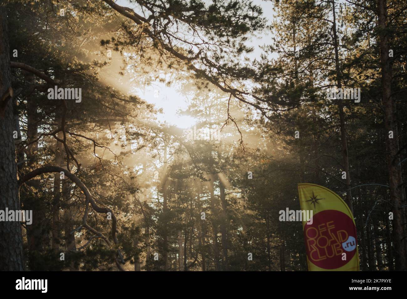beautiful landscape, sun rays shine through trees Stock Photo - Alamy