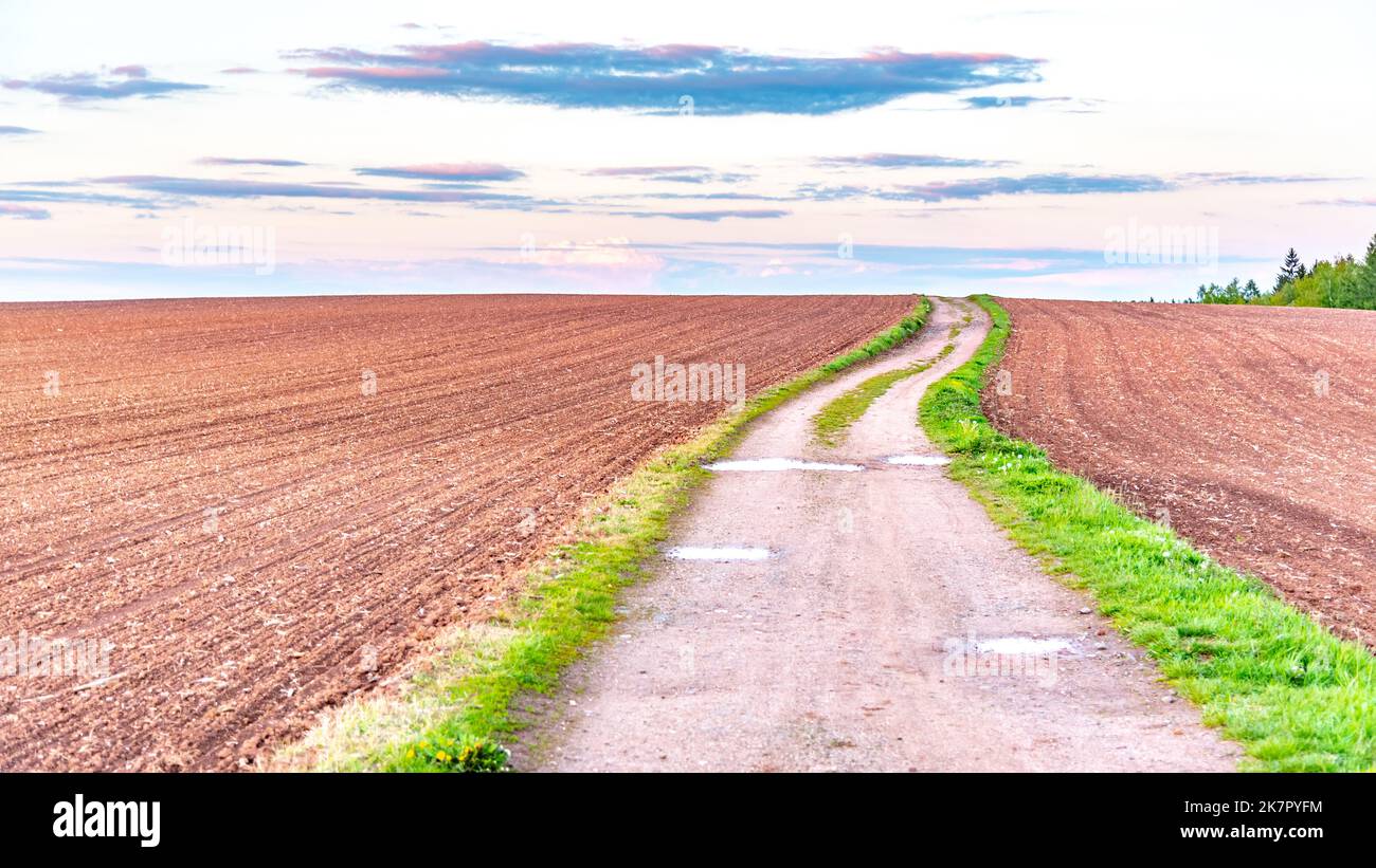 Country road in rural agricultural landscape. Red soil fields around ...