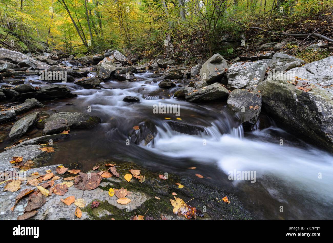 Rushing waters of Big Hunting Creek in Catoctins Mountain Park with the ...