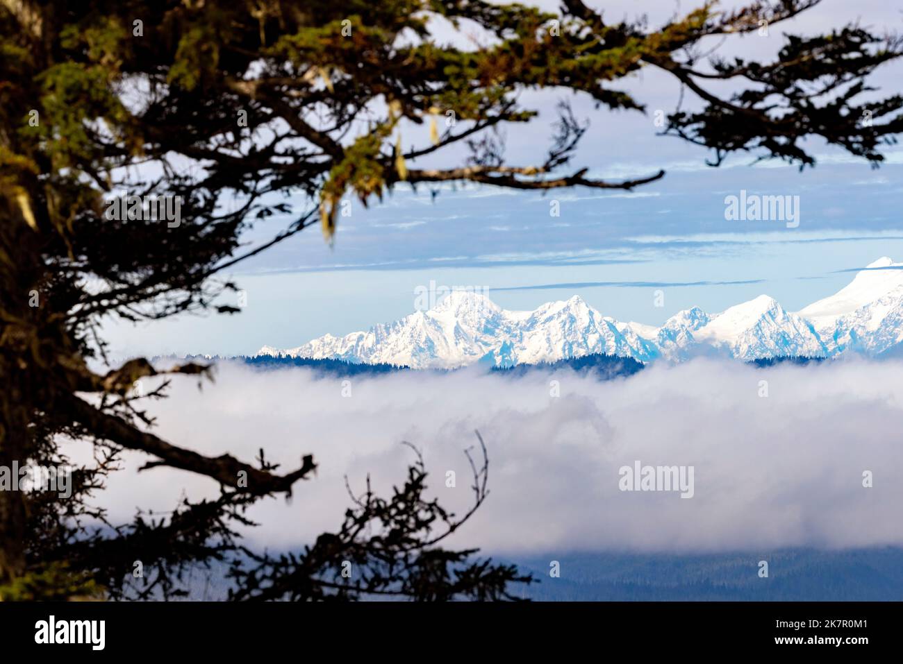 Views from the top of Hoonah Mountain - Icy Strait Point, Hoonah ...