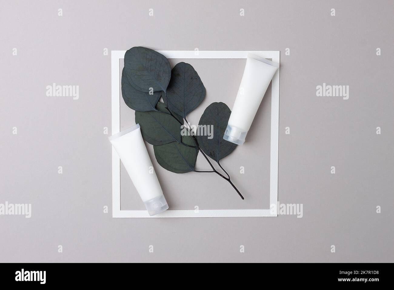 White tubes of cosmetic cream with white frame and eucalyptus on grey ...