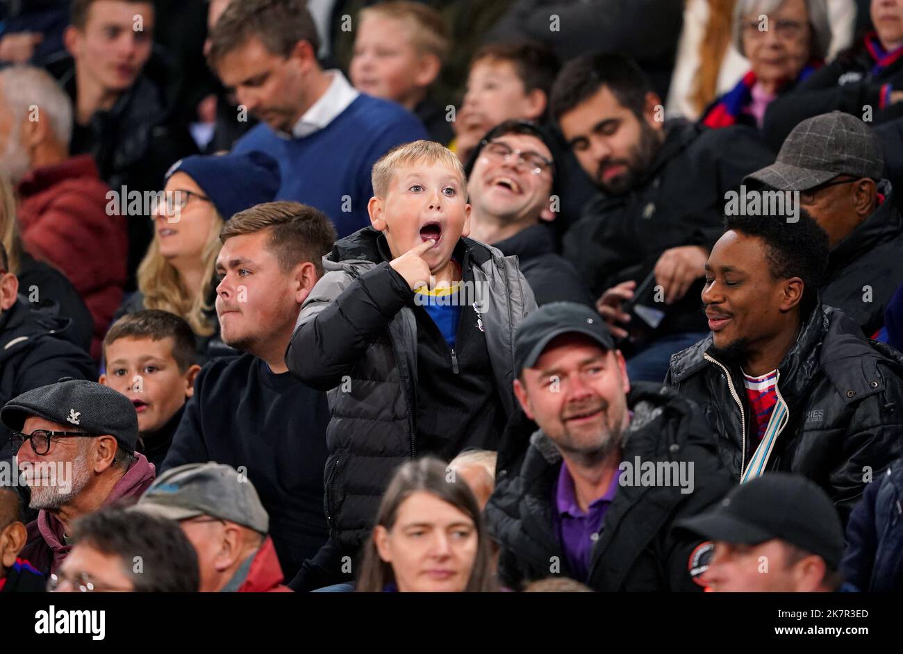 A Crystal Palace fan in the stands during the Premier League match at ...