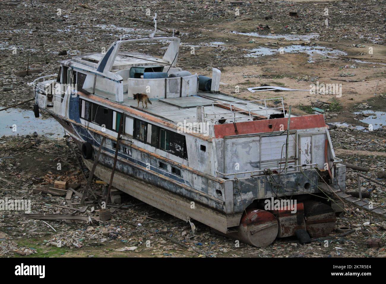 Amazonas benjamin constant brazil hi-res stock photography and images ...