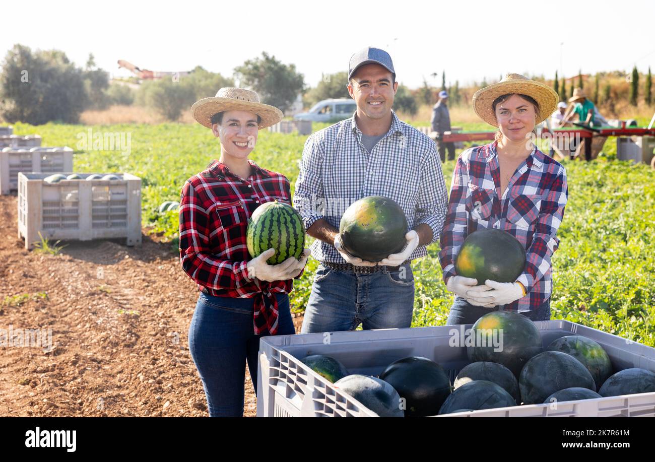 Farmers posing in field with watermelons crop Stock Photo - Alamy