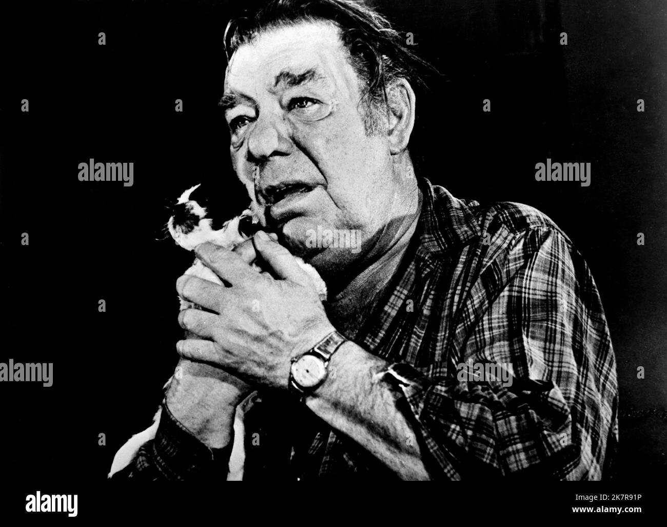 Lon chaney jr dracula hi-res stock photography and images - Alamy