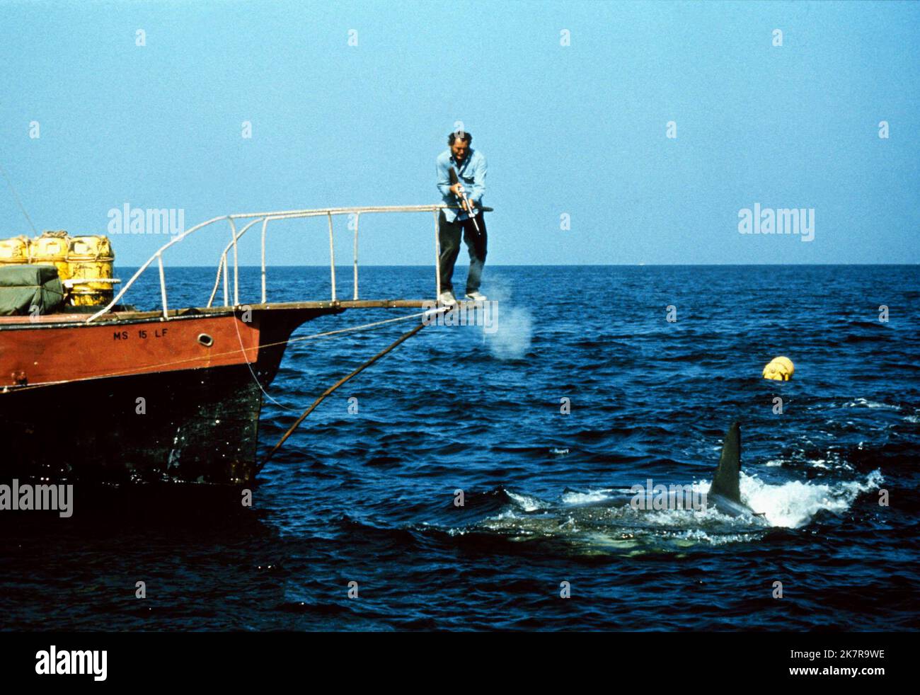 Robert Shaw Film Jaws (USA 1975) Characters: Quint / Mechanical Shark 'Bruce' Director: Steven ...