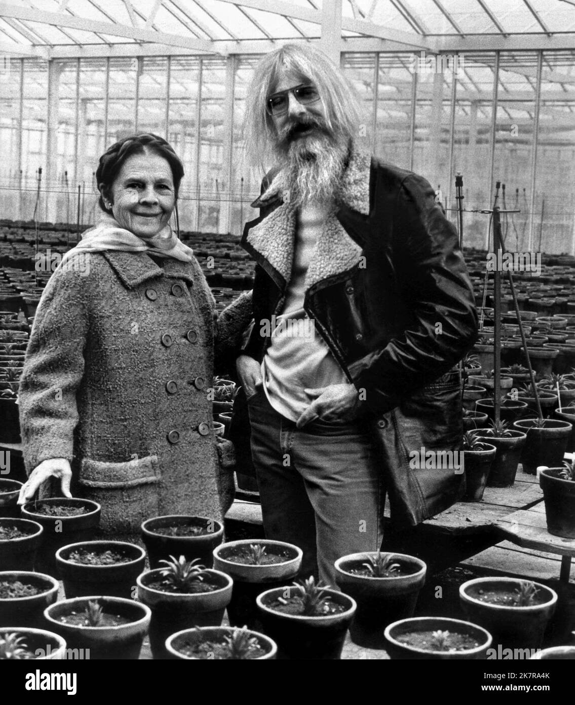 Ruth Gordon & Hal Ashby Film Harold And Maude (USA 1971) Director: Hal Ashby 20 December 1971 ...