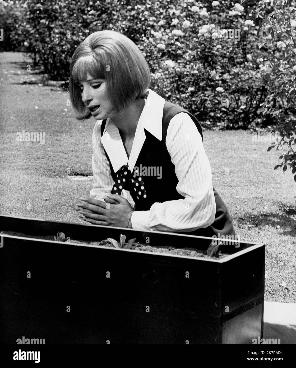 Barbra Streisand Film: On A Clear Day You Can See Forever (USA 1970 ...