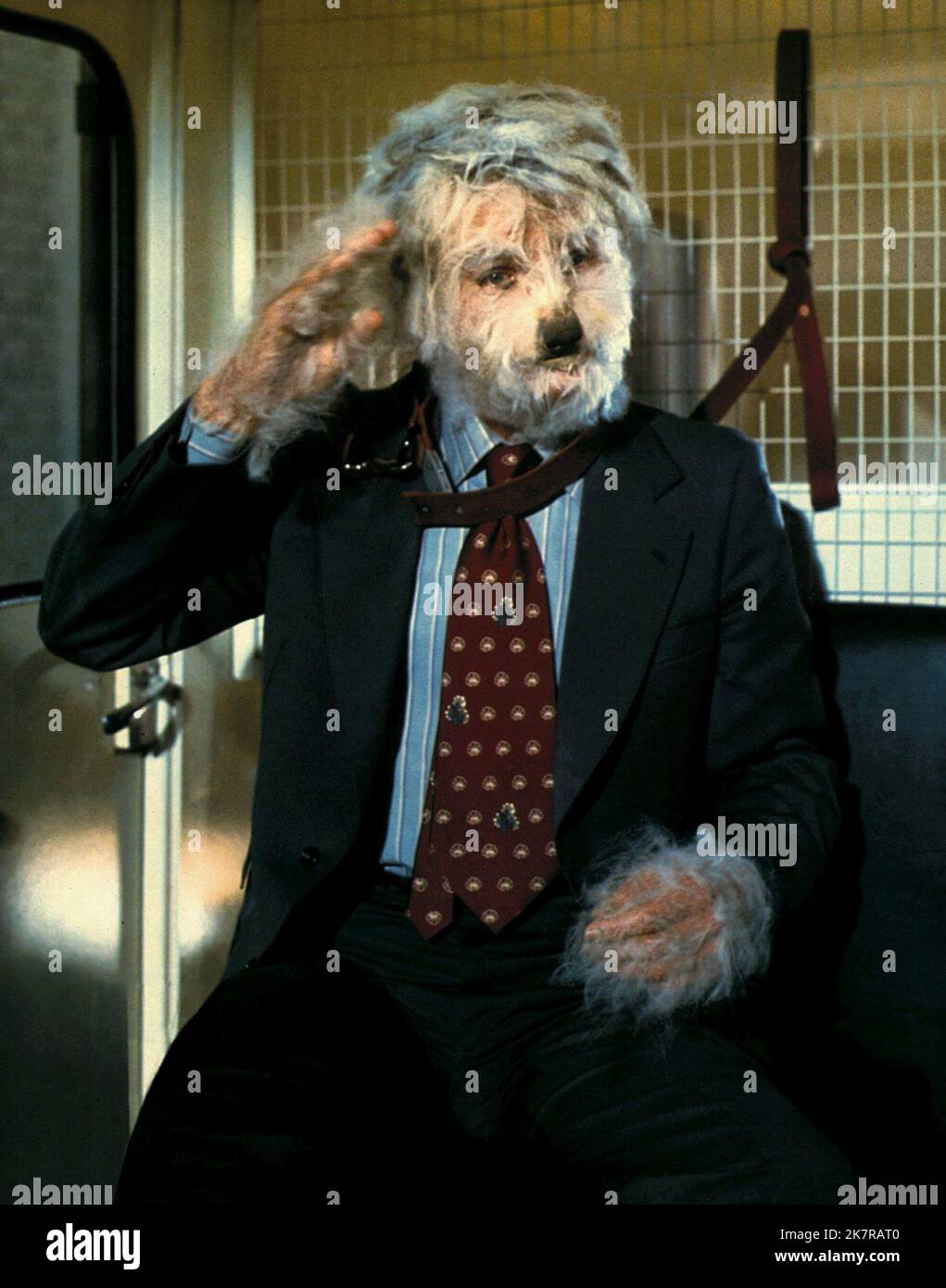 Dean Jones Film The Shaggy D.A. (1974) Characters: Wilby Daniels ...