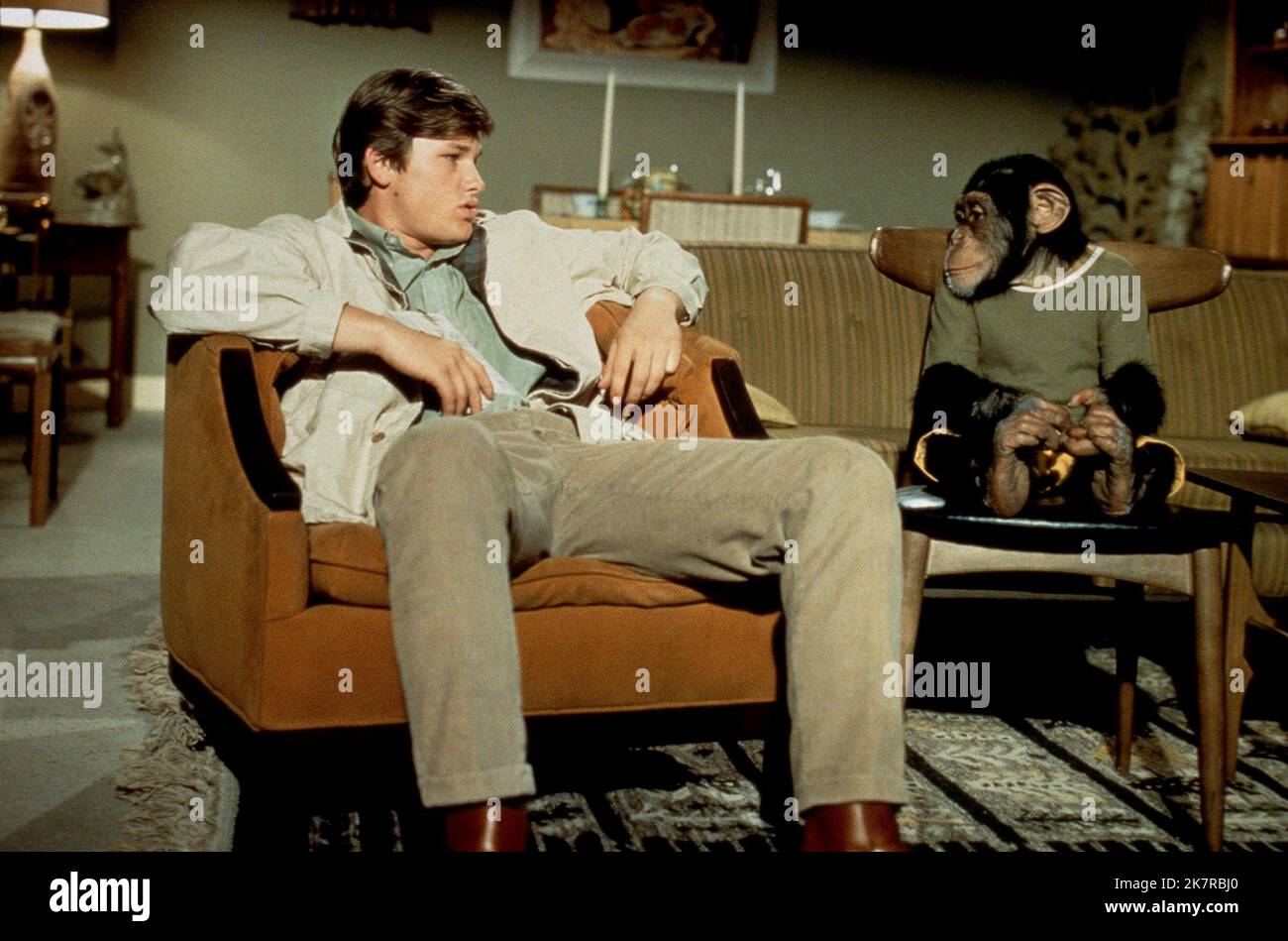 The Barefoot Executive