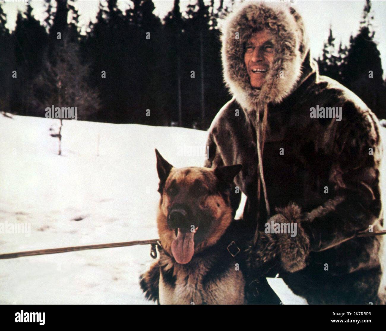 Charlton Heston Film The Call Of The Wild (1971) Characters: John Thornton Director: Ken Annakin ...