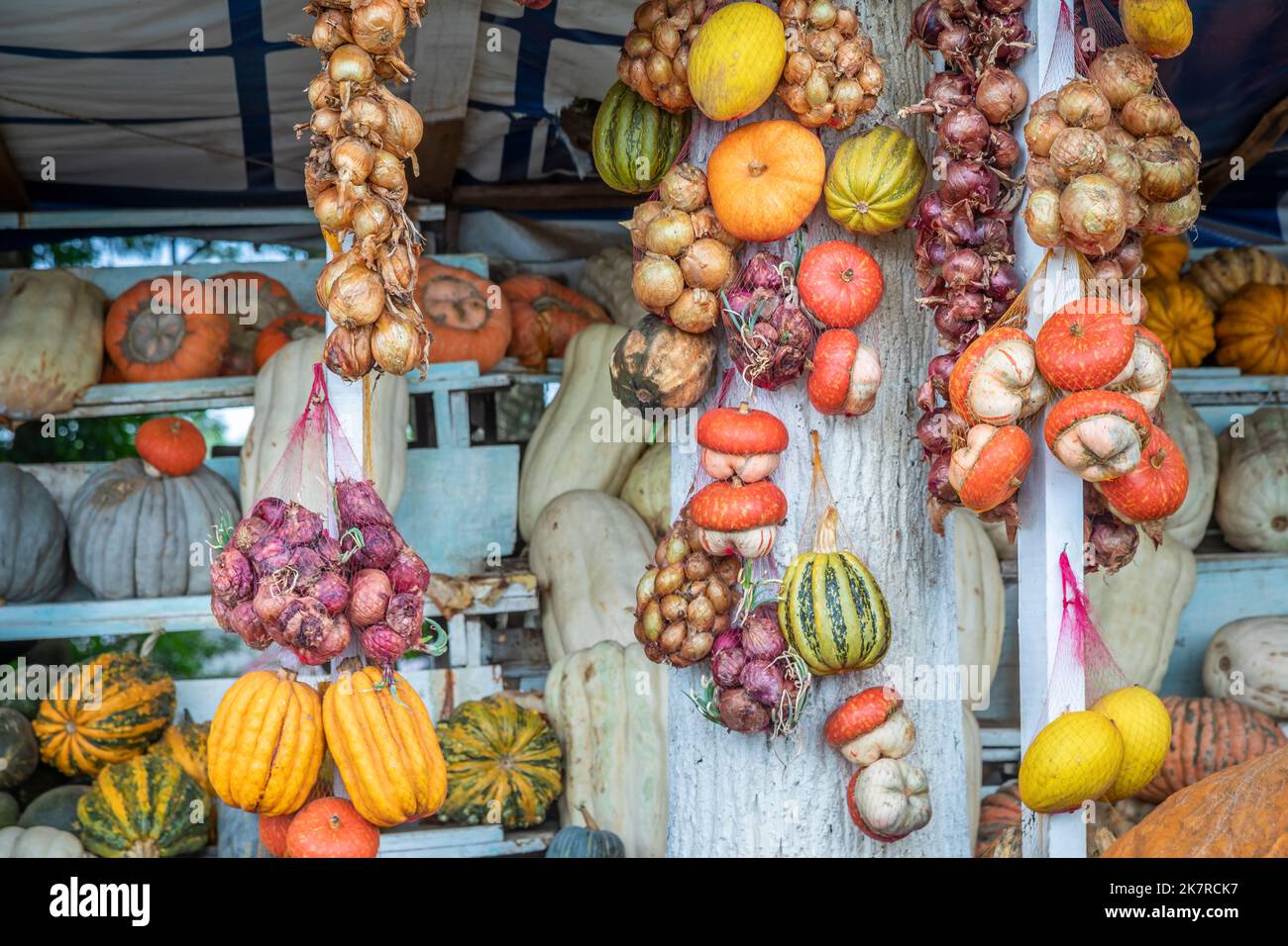 Cacao fruit market hi-res stock photography and images - Alamy