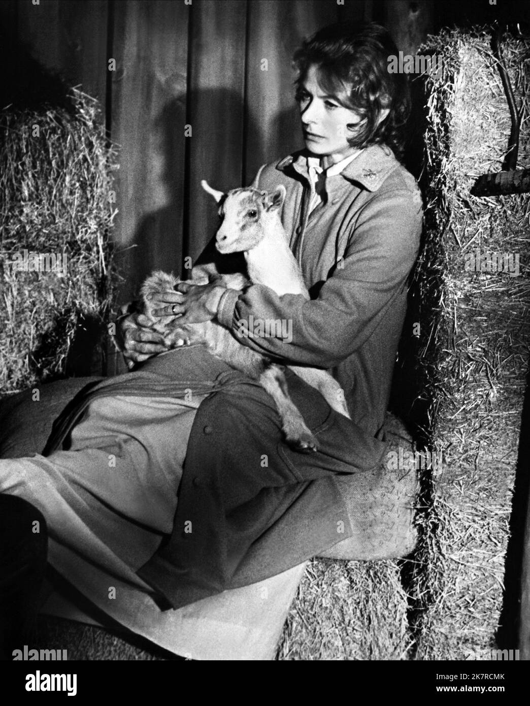 Ingrid Bergman Film: A Walk In The Spring Rain (1970) Characters: Libby ...