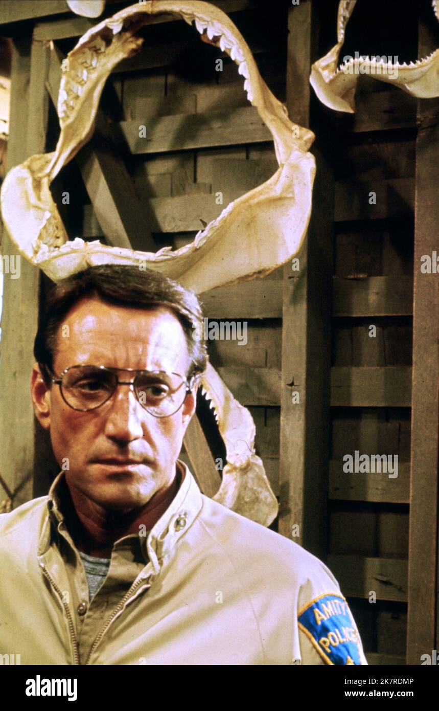 Jaws Movie Brody