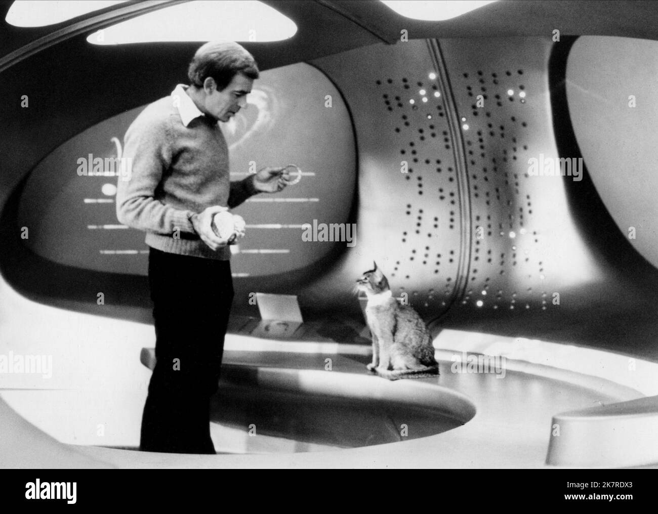 Jake the cat from outer space hi-res stock photography and images - Alamy
