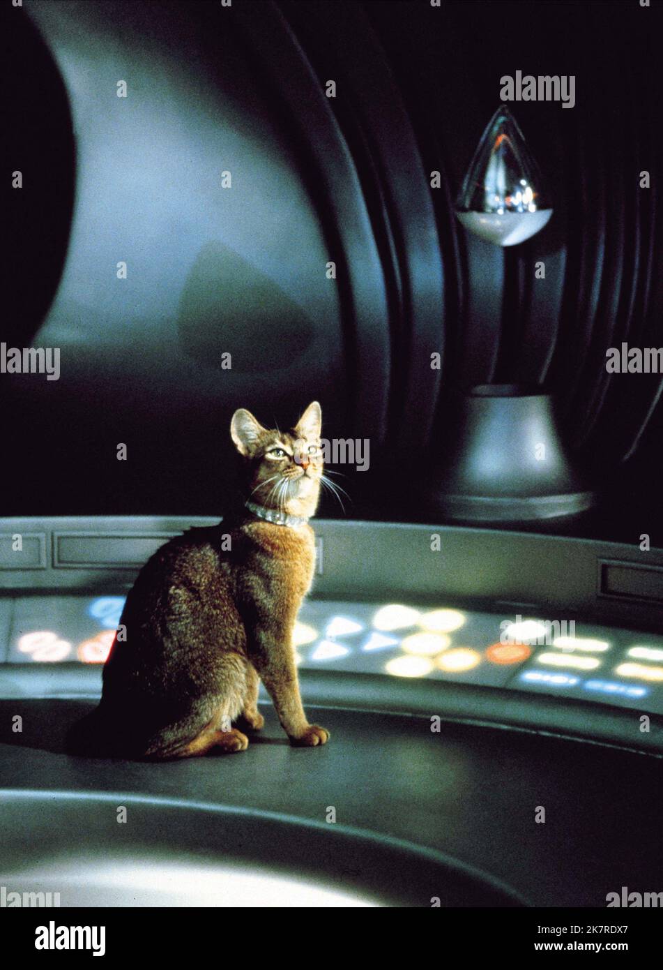 Jake The Cat Film: The Cat From Outer Space (USA 1978) Director: Norman ...