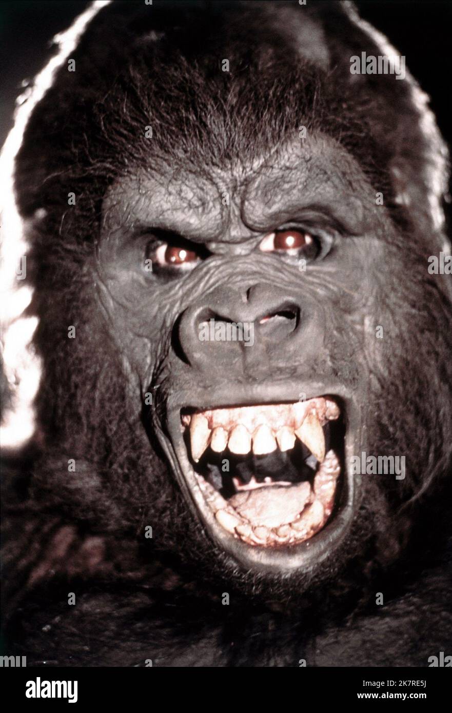 King Kong Film King Kong (USA 1976) Director: John Guillermin 08 ...