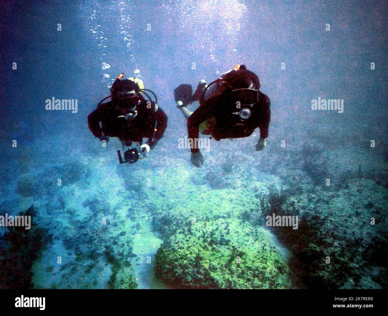 Underwater Scene Film: The Bermuda Triangle (1977) Director: Richard Friedenberg 24 January 1979 ...