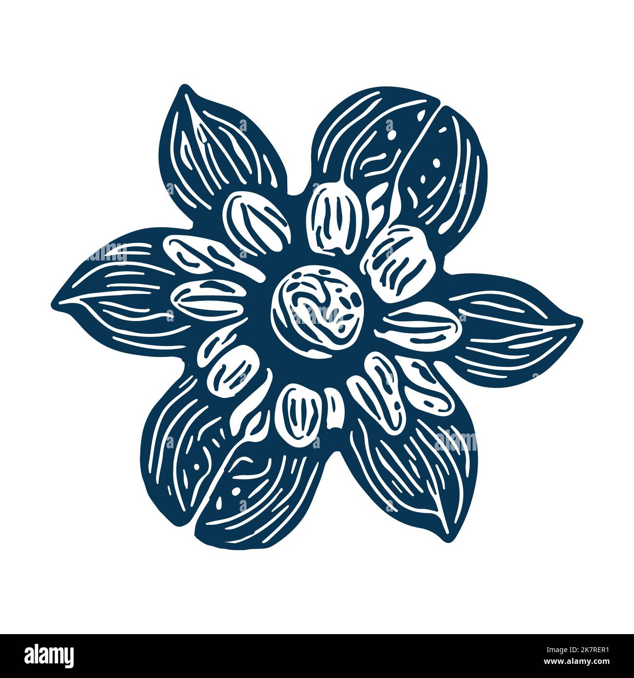 Decorative floral single clip art. Vintage vector botanical flower icon ...