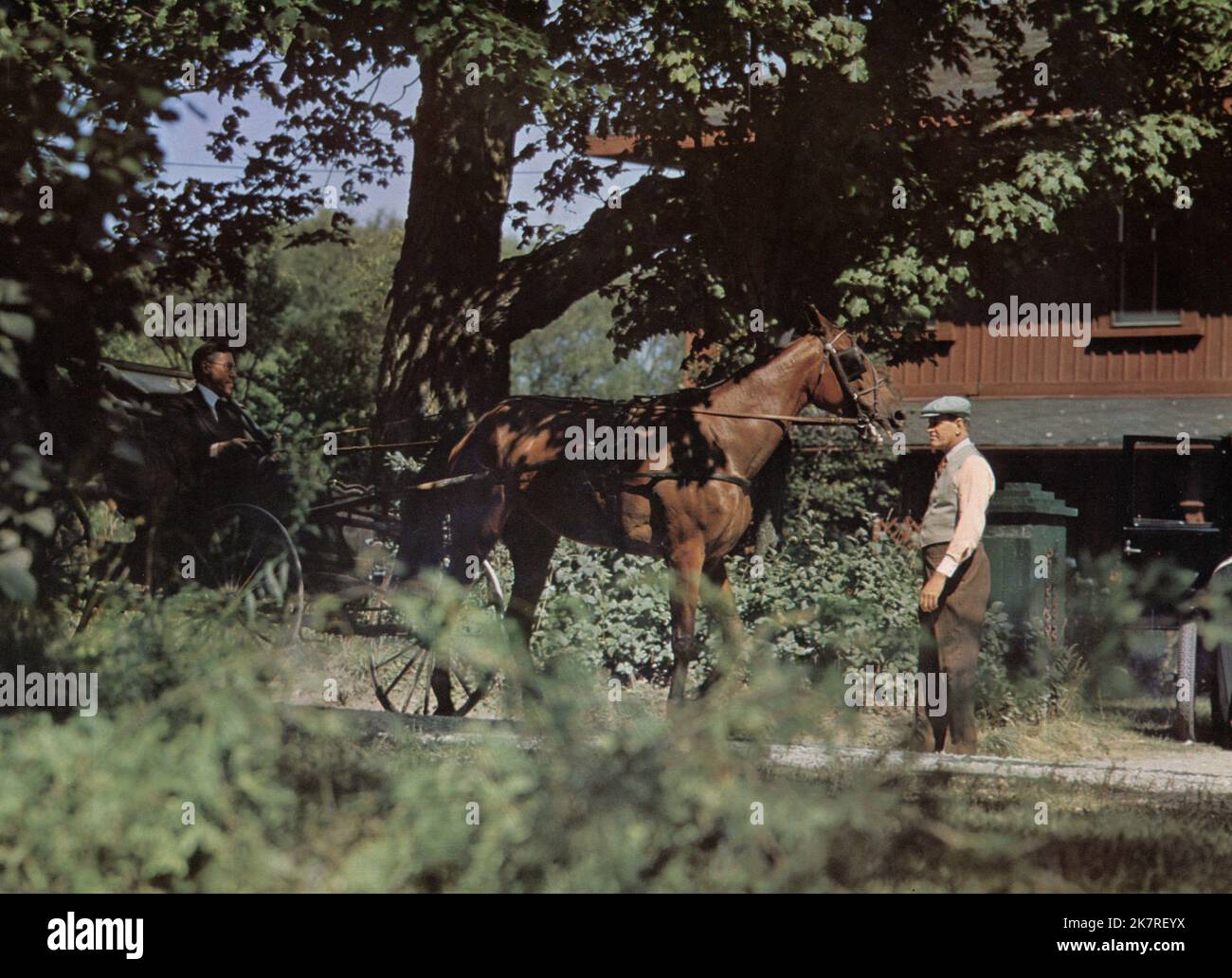 Alan bridges director hi-res stock photography and images - Alamy