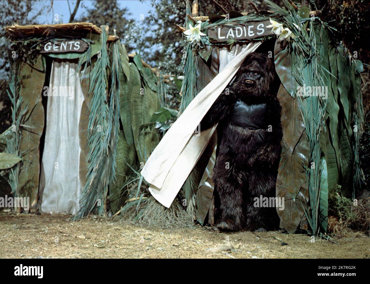 Gorilla Film Carry On Up The Jungle (1970) Characters: Gorilla Director ...