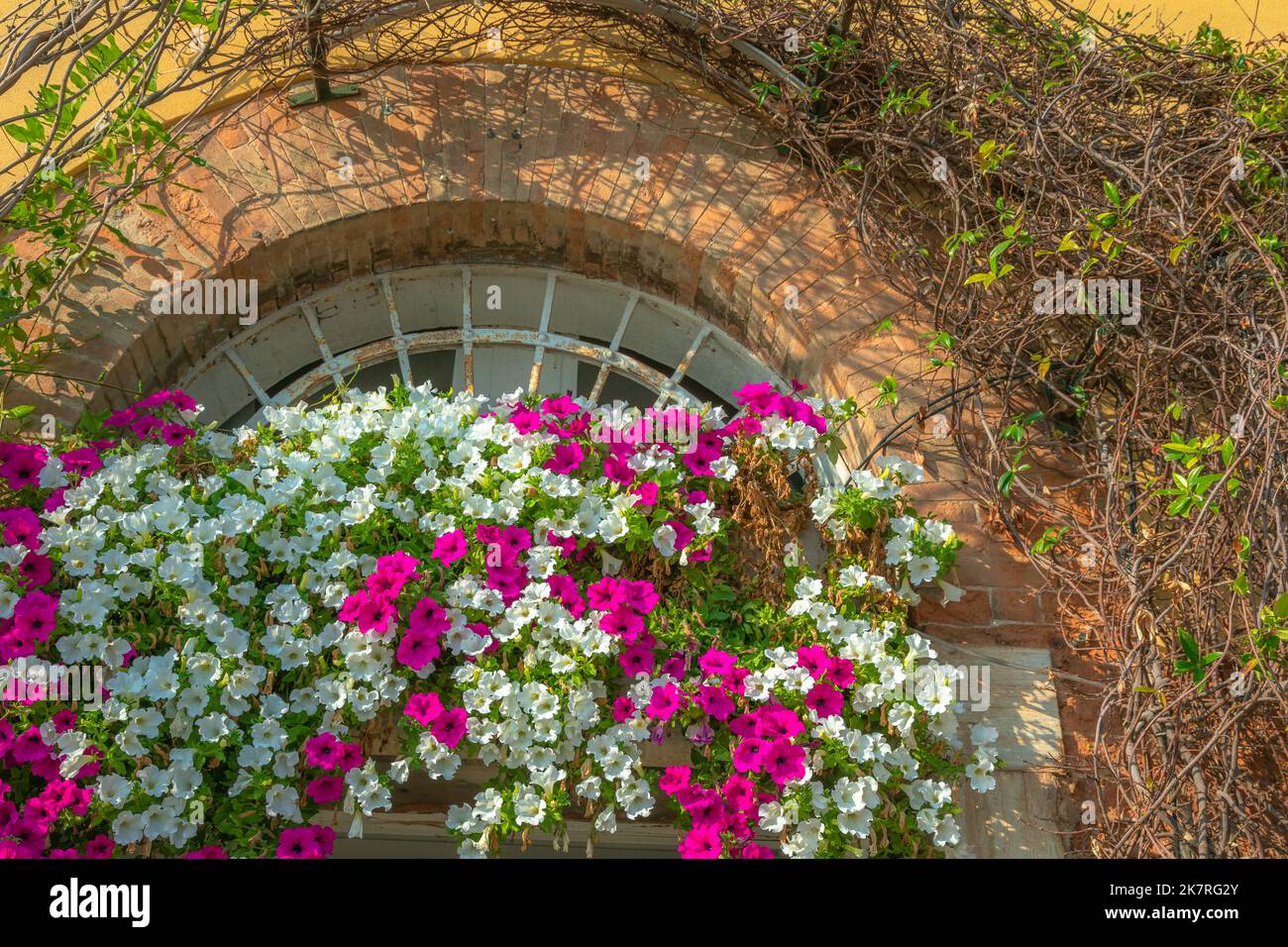 Arched window and flower balcony of Venetian house at springtime ...