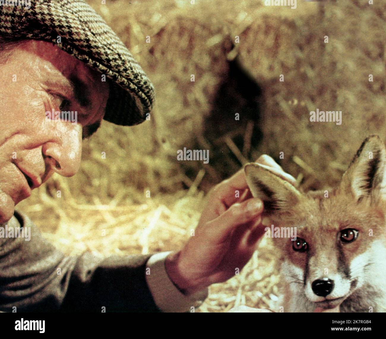 Eric Porter & Fox Film The Belstone Fox (1973) Characters: Asher Smith ...
