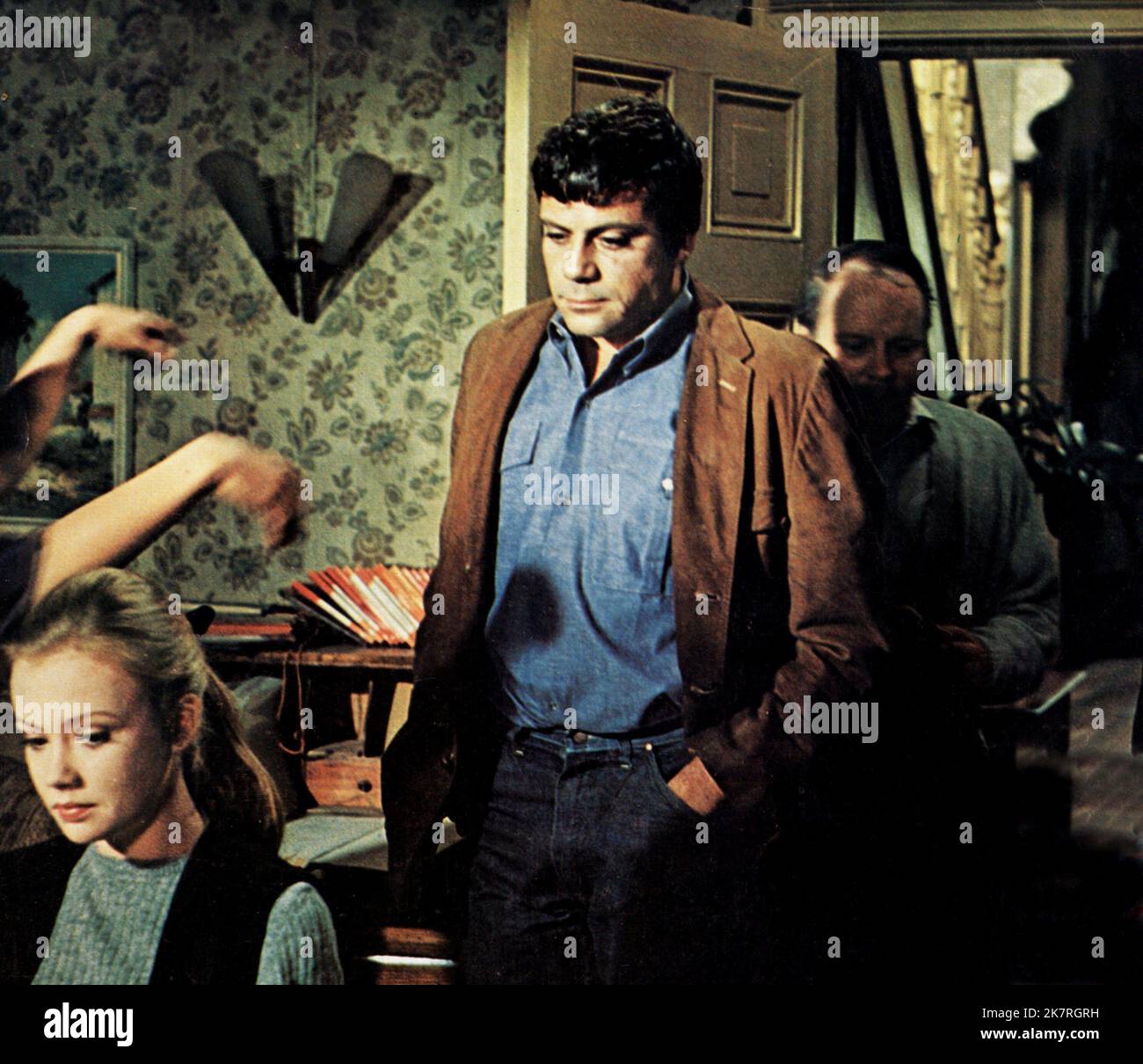 Hayley Mills & Oliver Reed Film Take A Girl Like You (1970) Characters ...