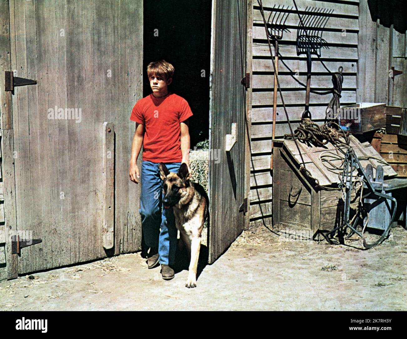 Ron Howard & Smoke The Dog Film Smoke (1970) Characters: Chris (as ...