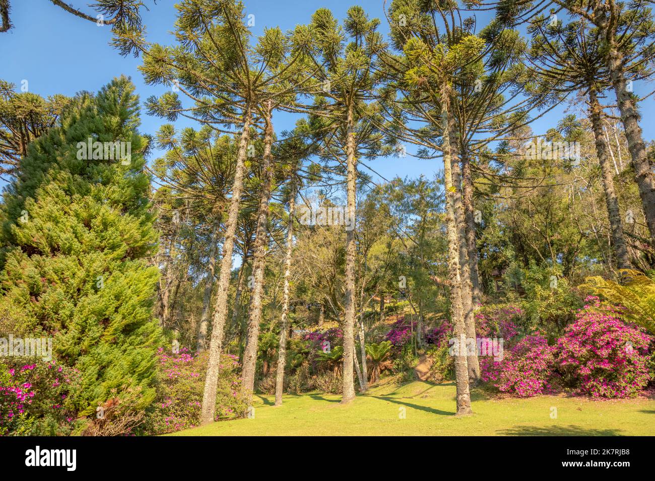 Gramado summer hi-res stock photography and images - Alamy
