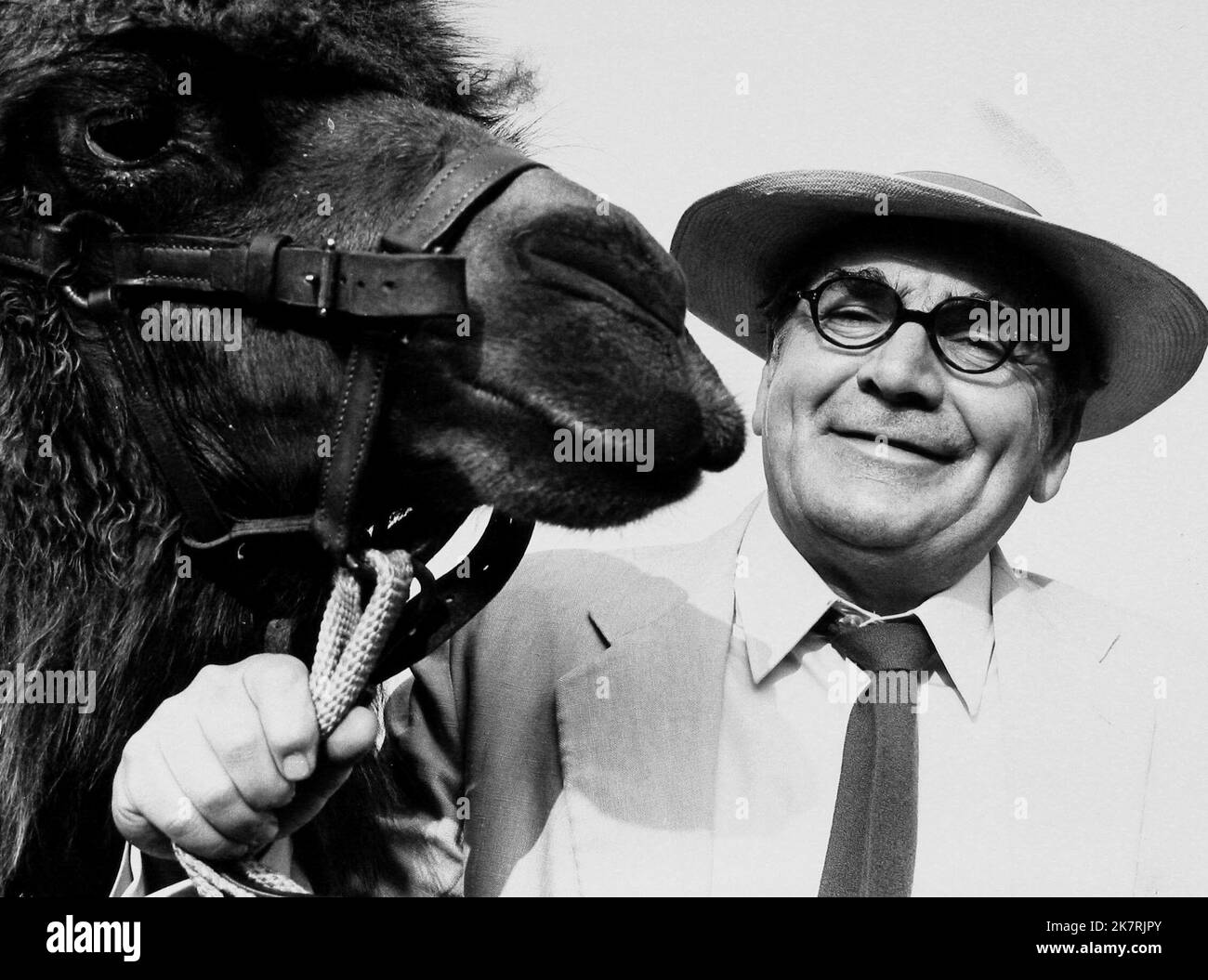 Harry Worth Television: Scoop (TV-Serie) Characters: William Boot WITH ...