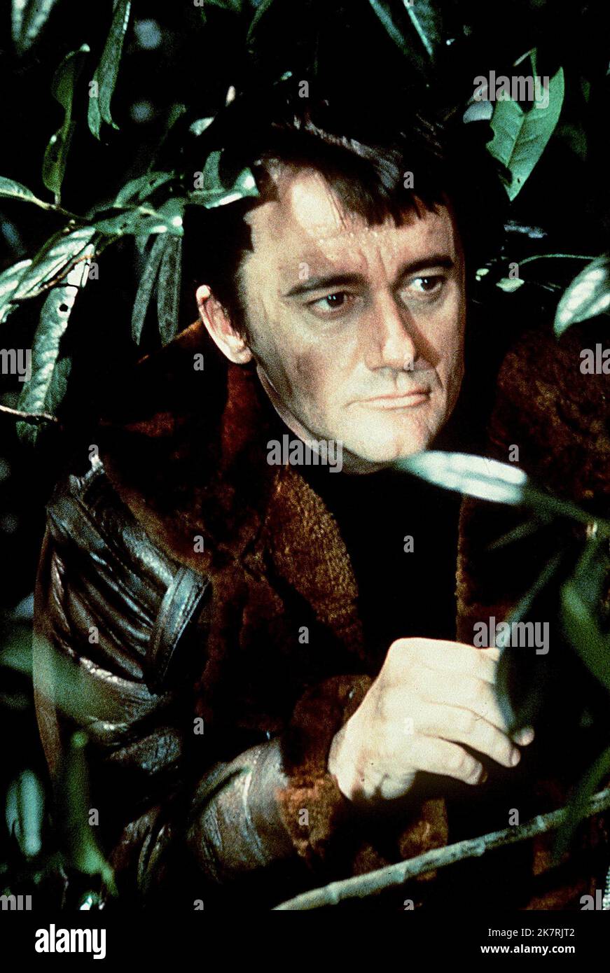 Robert Vaughn Television: The Protectors (TV-Serie) Characters: Harry ...