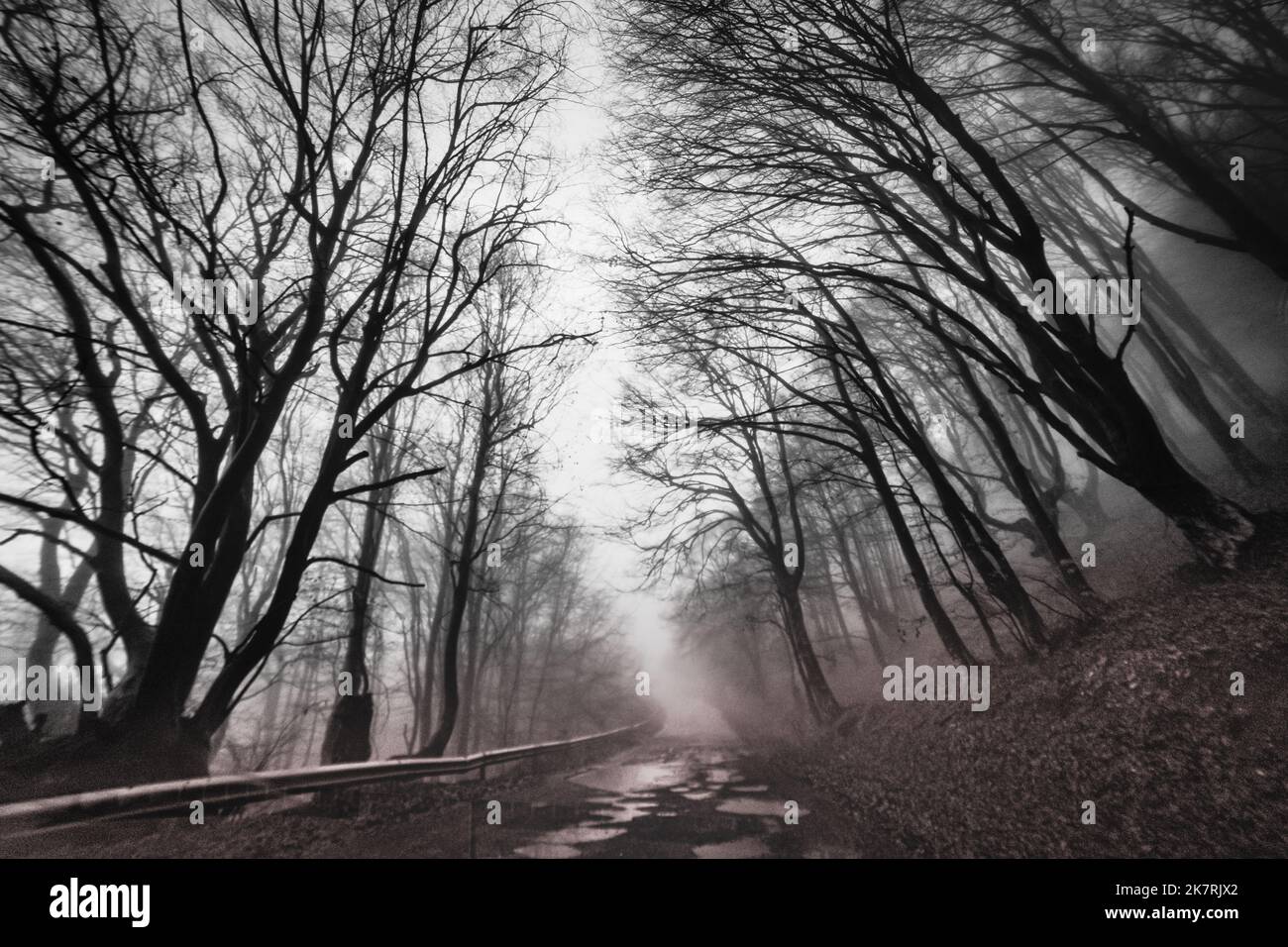 Horror road hi-res stock photography and images - Alamy