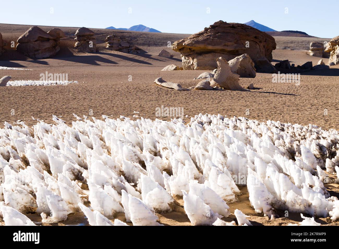 Ice formations modeled by wind from Bolivia. Andean plateau Stock Photo ...