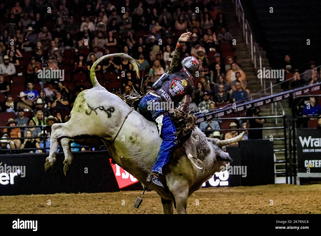 Austin gamblers hi-res stock photography and images - Alamy