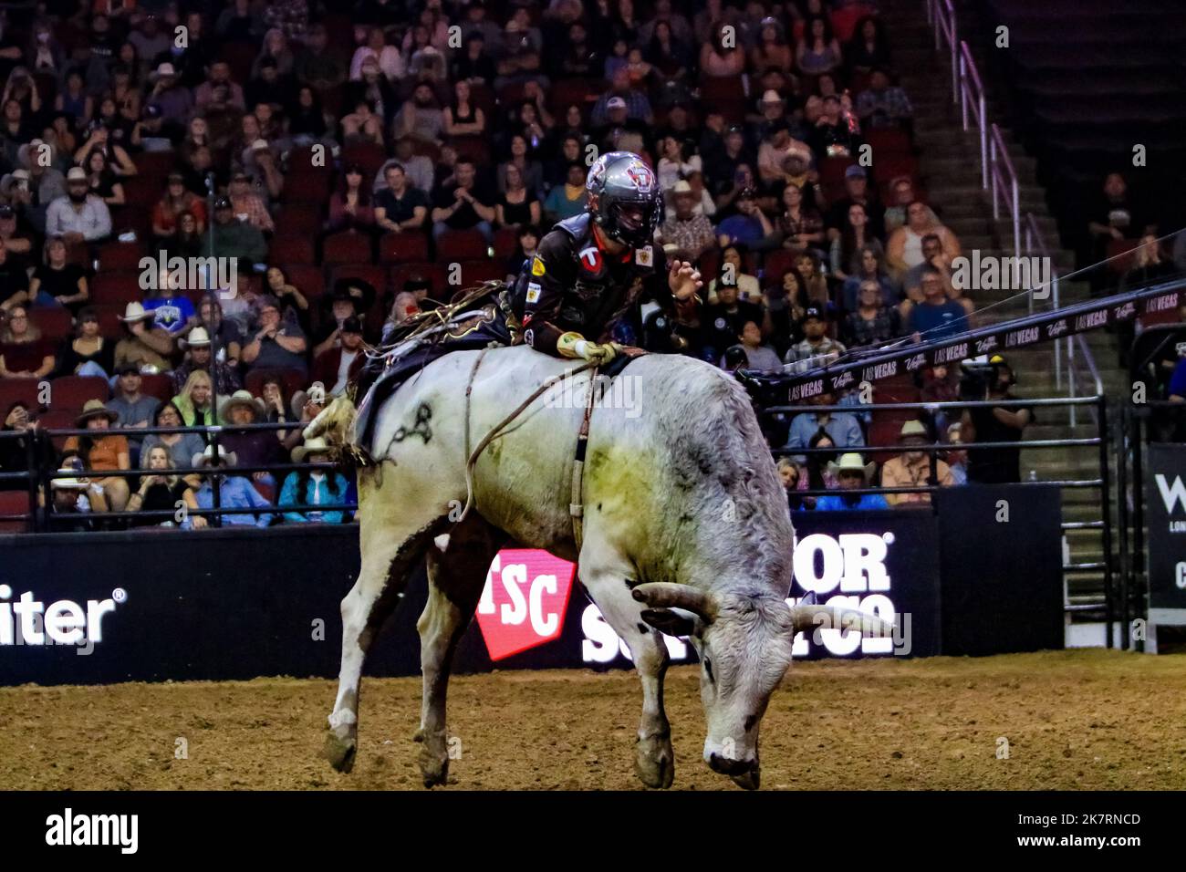 Austin gamblers hi-res stock photography and images - Alamy