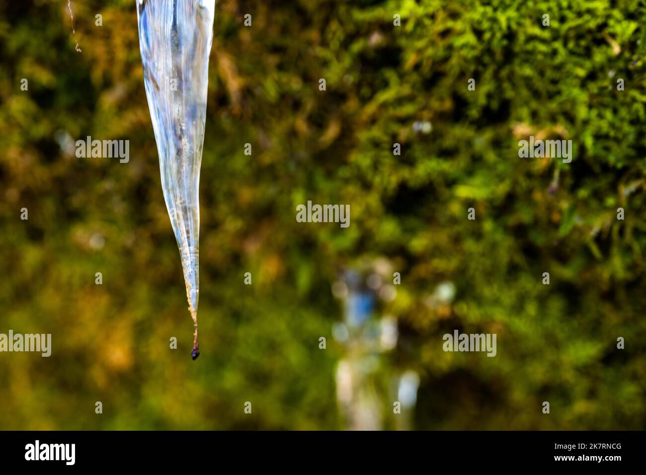 Bit of Dirt Clinging to Icicle in Great Smoky Mountains National Park ...