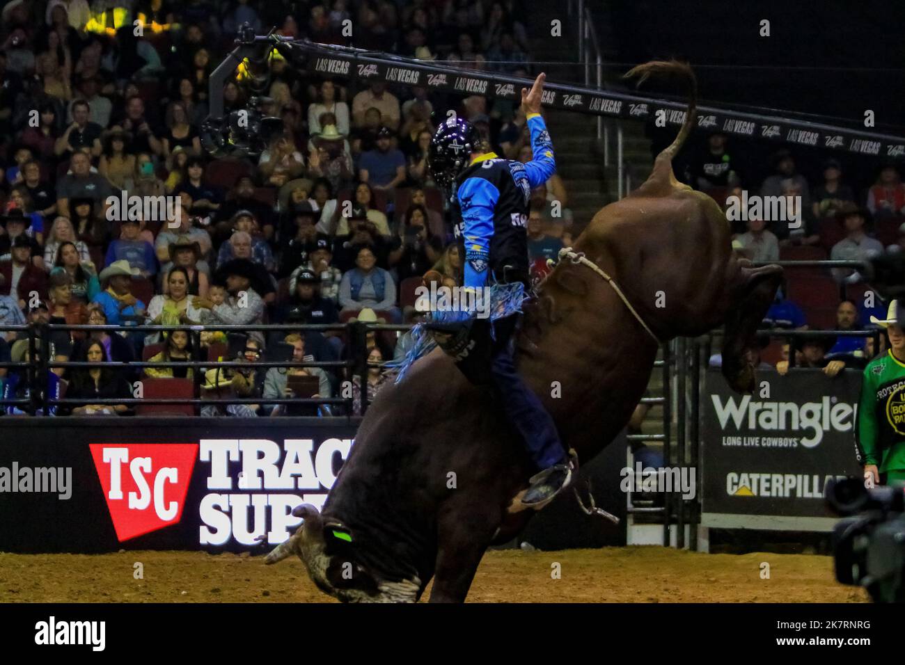 Austin gamblers hi-res stock photography and images - Alamy