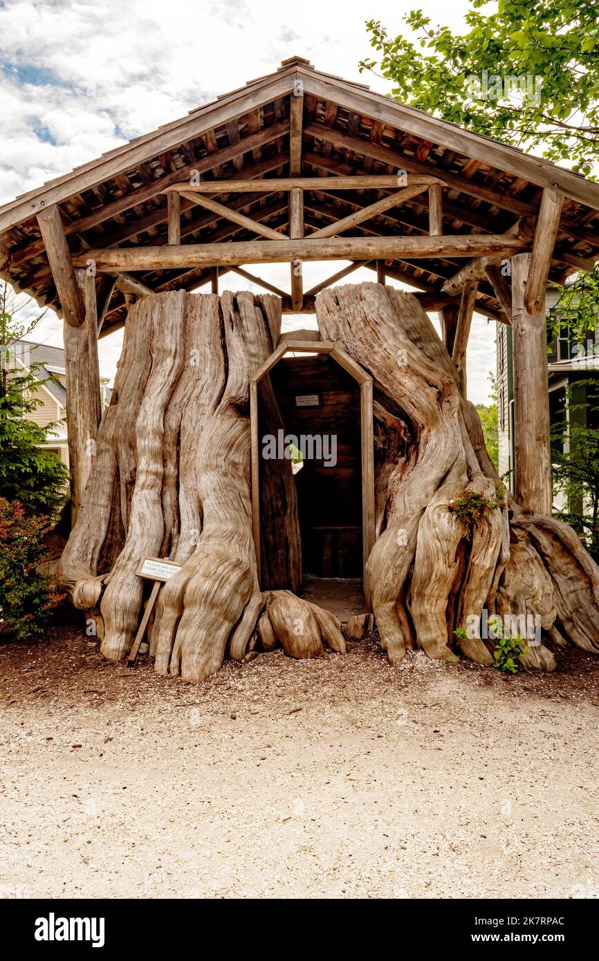 Old growth logging hi-res stock photography and images - Alamy