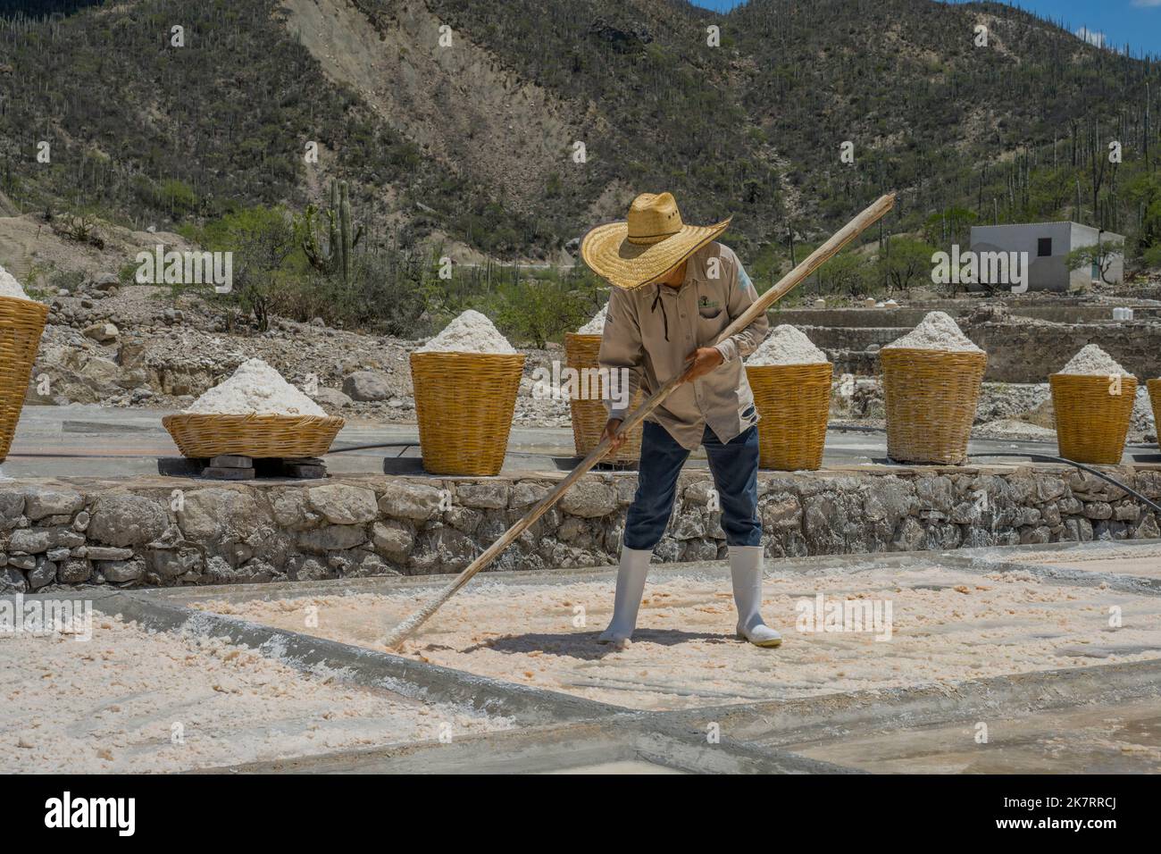 A man is working in the saline pools at a salt mining operation in ...