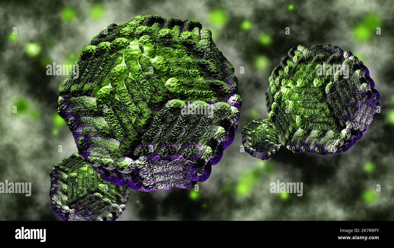 Illustration of West Nile virus (WNV) particles. WNV belongs to the ...