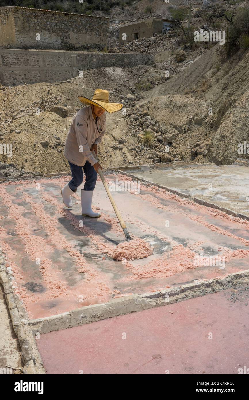 A man is working in the saline pools at a salt mining operation in ...