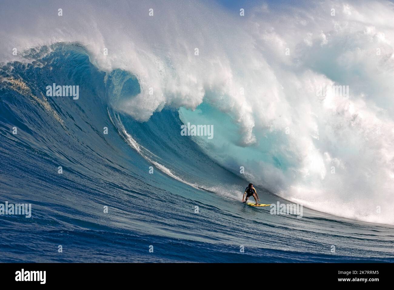 Tow-in surfer dropping to the curl of Hawaii's big surf at Peahi (Jaws ...