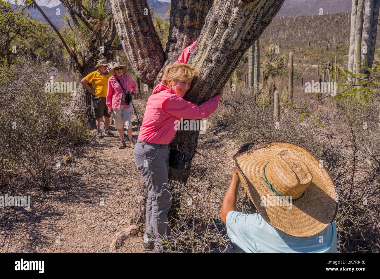 A tourist is hugging a cacti in the Tehuacan-Cuicatlan Biosphere ...