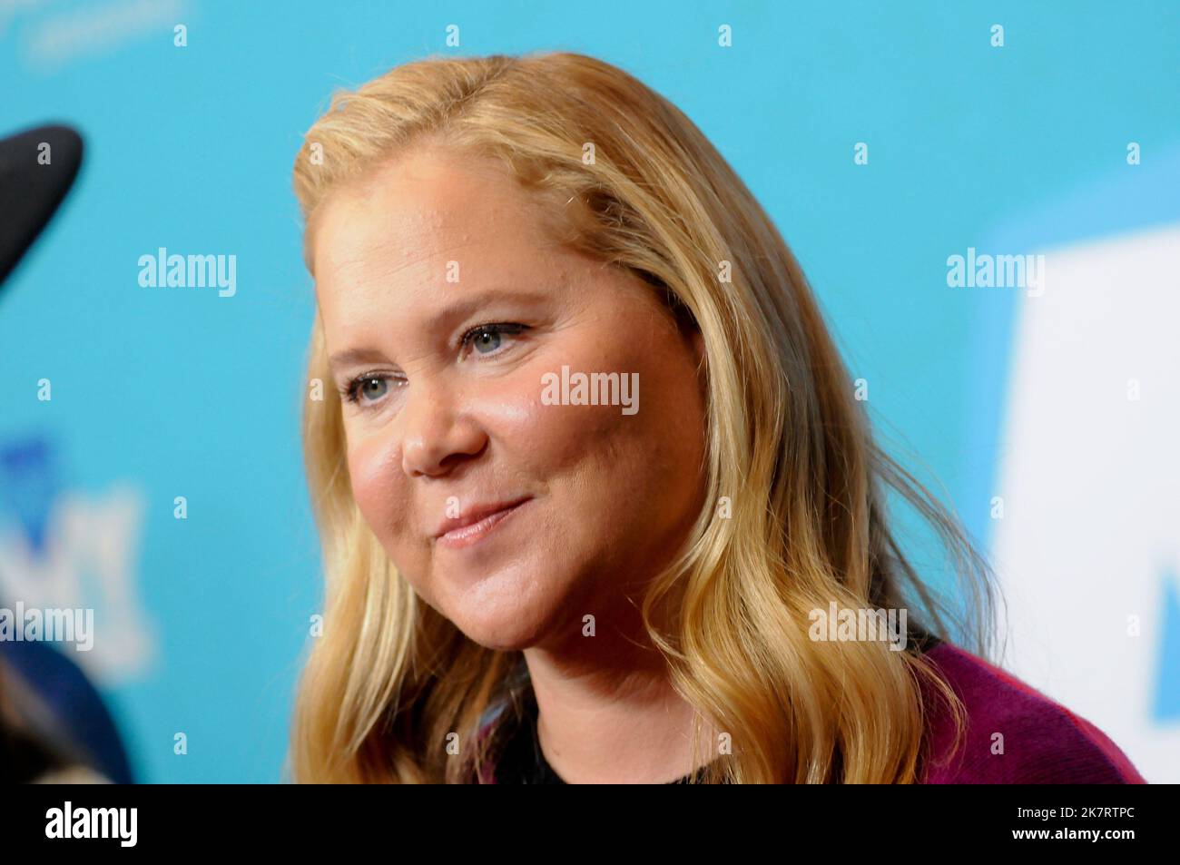Amy Schumer attends the Inside Amy Schumer Season 5 Premiere at the ...