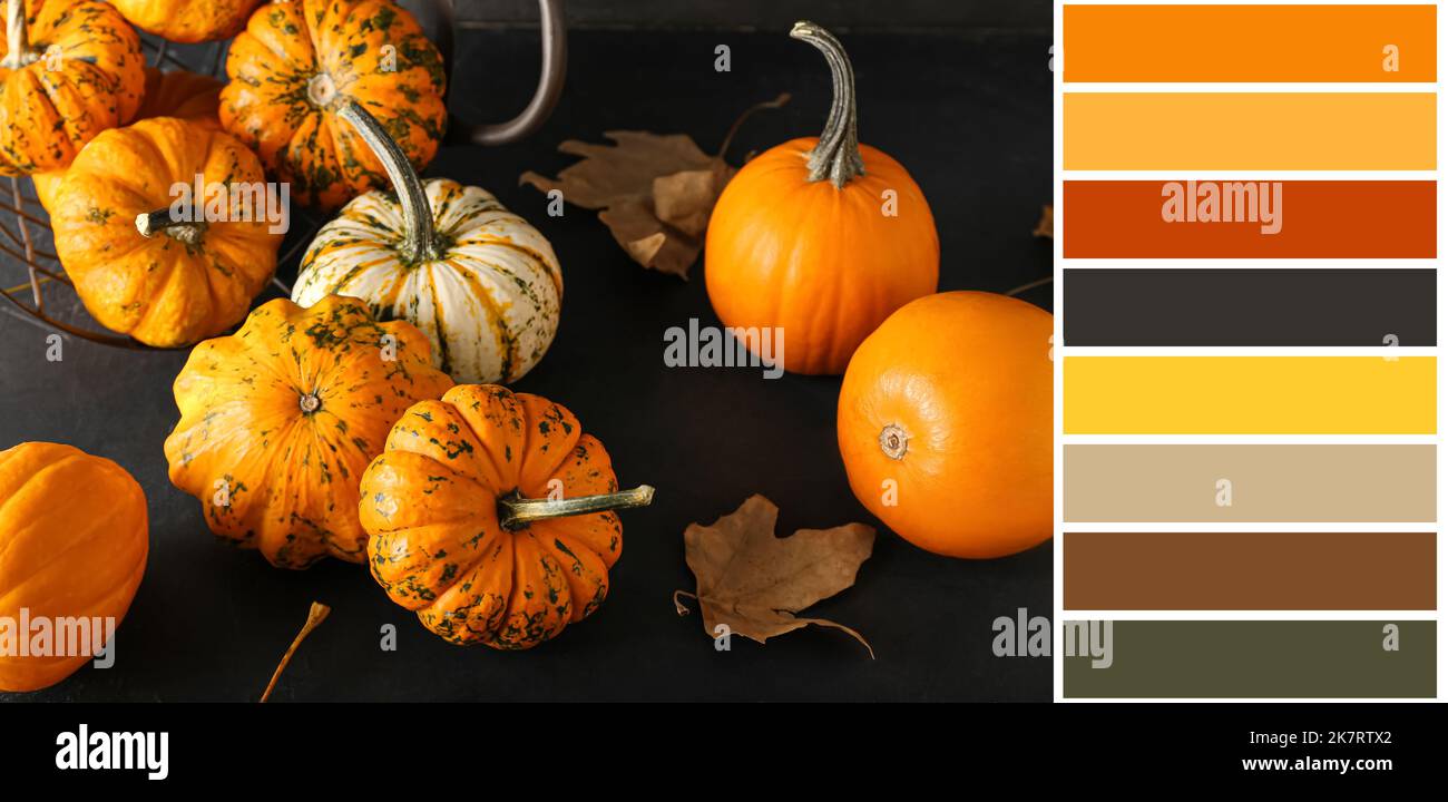 Many ripe pumpkins on dark background. Different color patterns Stock ...