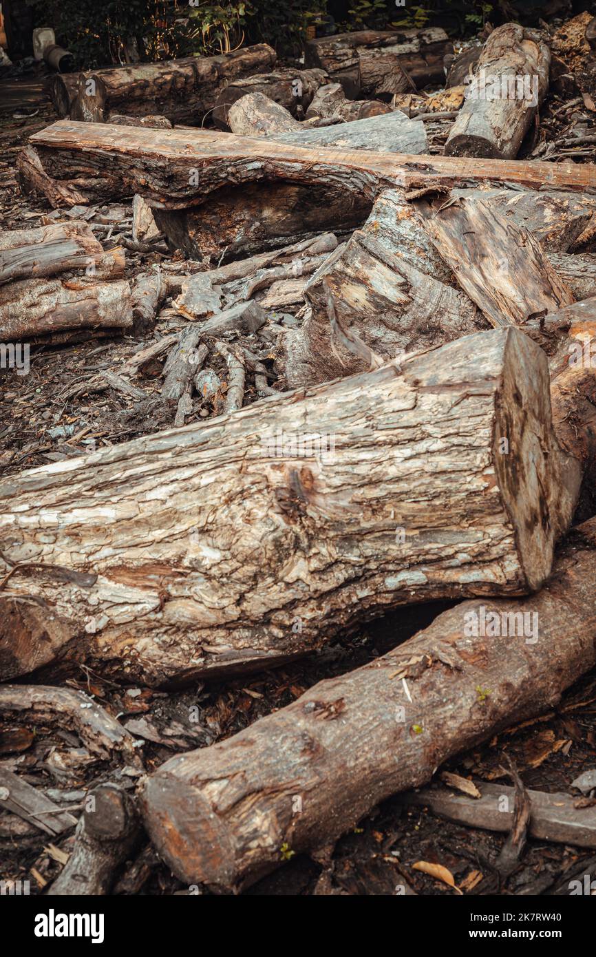 Wooden dow hi-res stock photography and images - Alamy